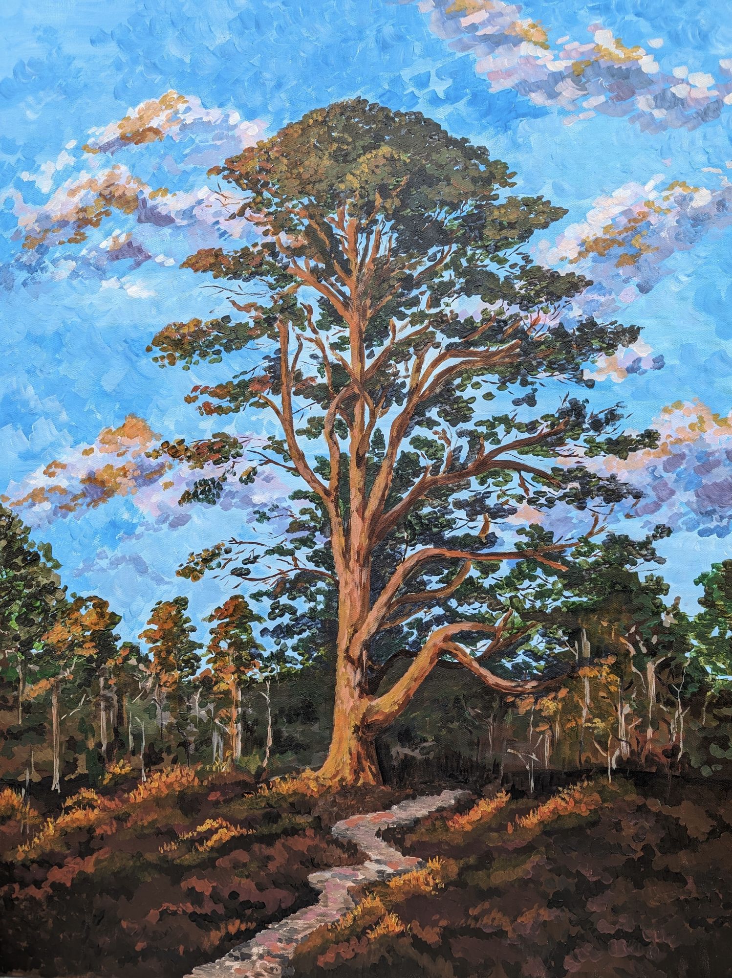 Gallery – Rose Kendall